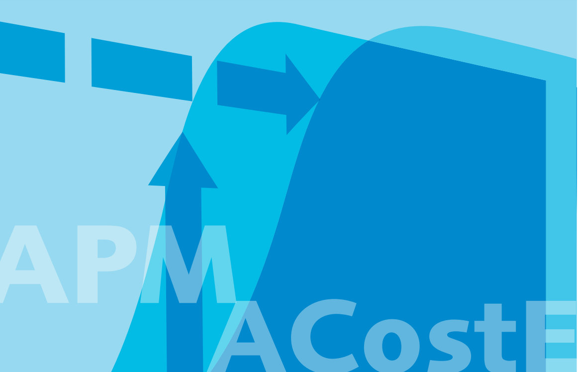 What is project cost planning and control? | APM
