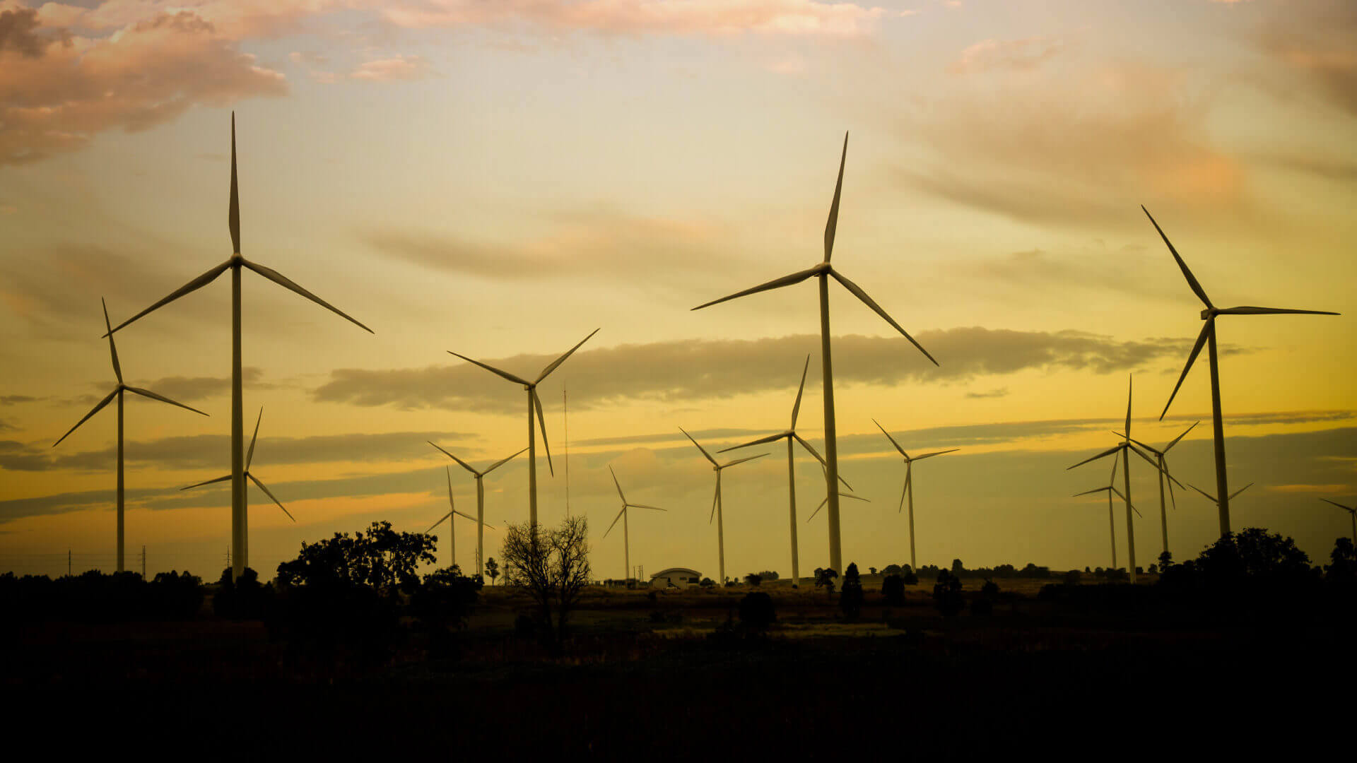 What is a project management life cycle? | APM