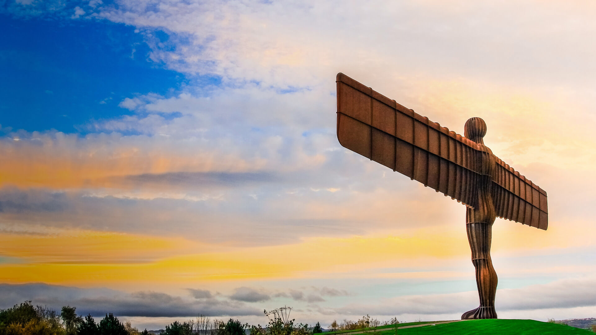 What is a project management life cycle? | APM